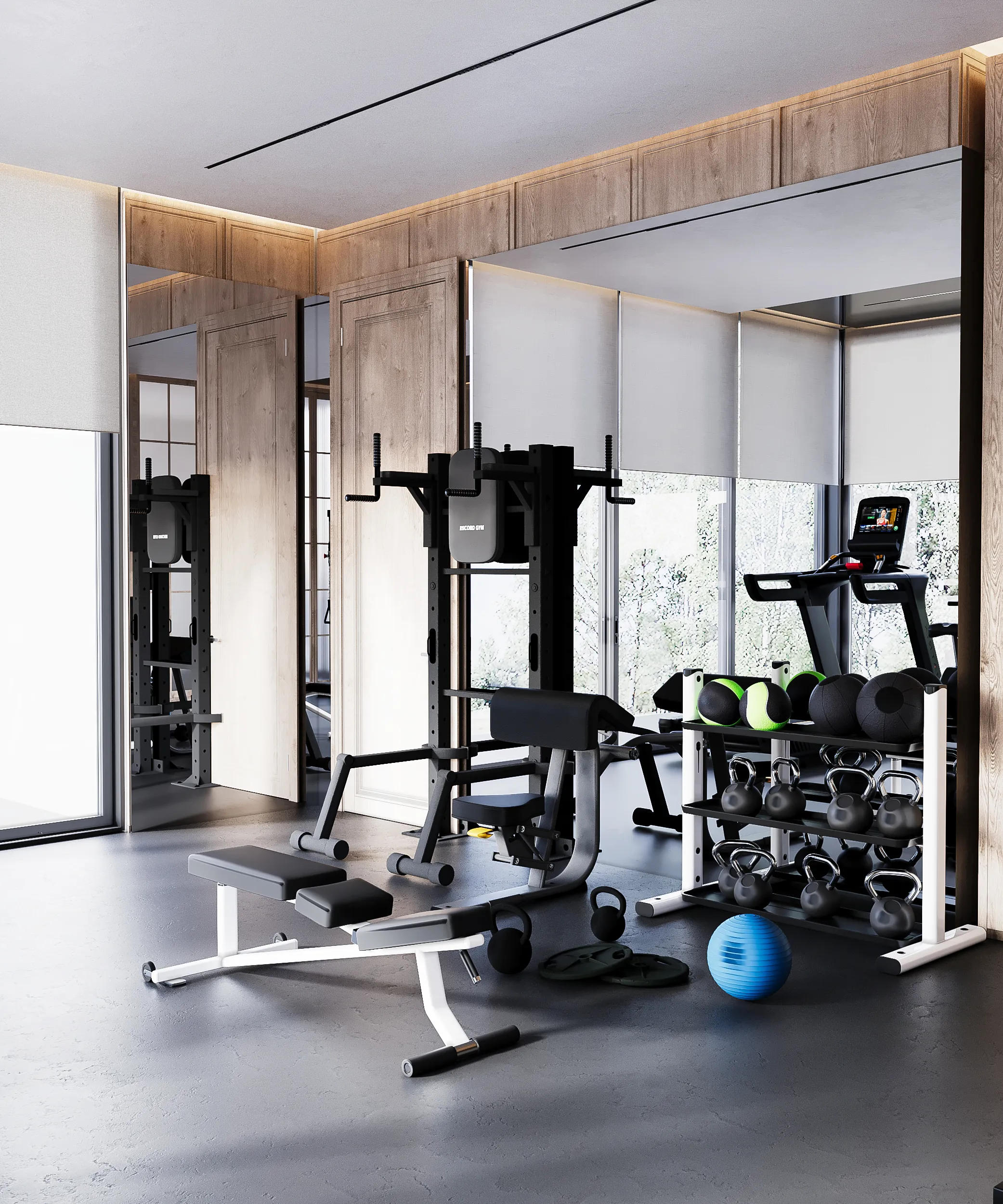 Modern Minimalist Gym with a Natural Touch